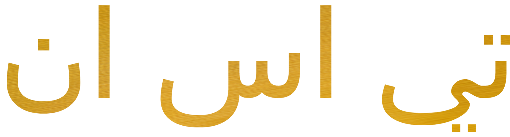 TSN Group Of Companies